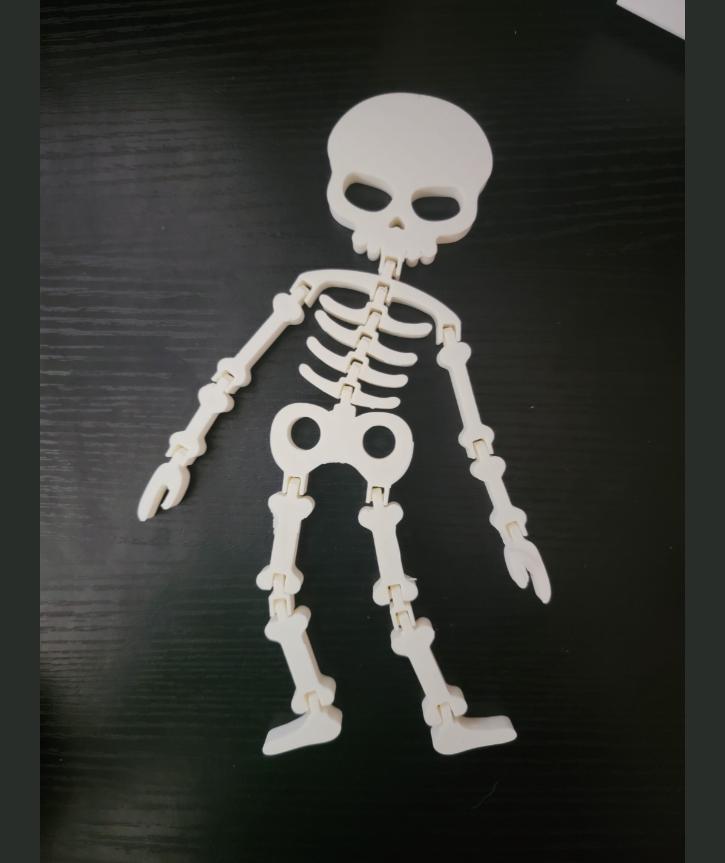 Flexible Skeleton Toy | 3D Printed Spooky Halloween Decoration for Home ...