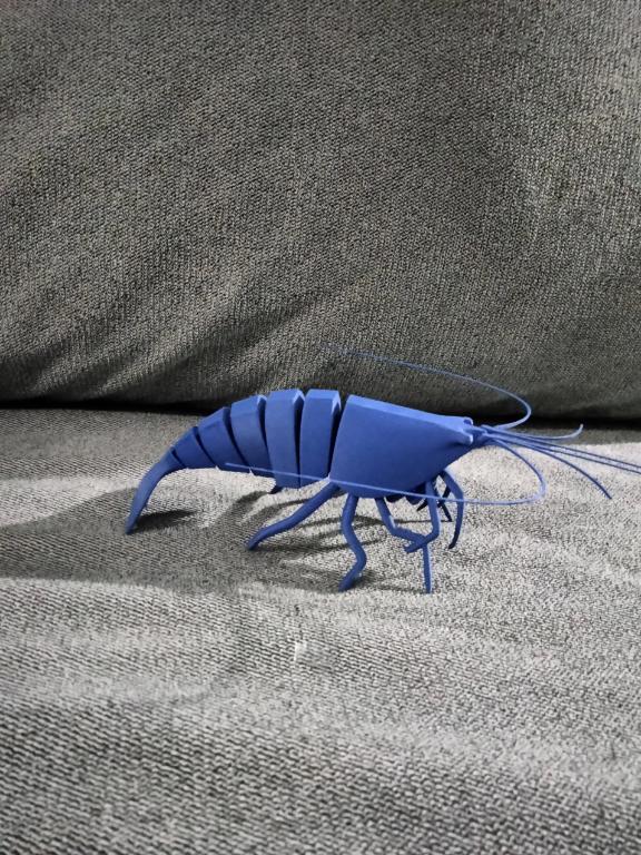 Articulated Shrimp | 3D Printed Realistic Ocean Animal Figure Desk Toy ...