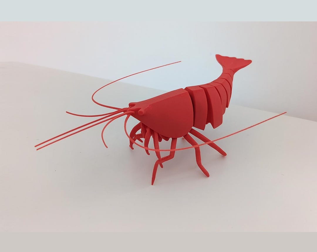 Articulated Shrimp | 3D Printed Realistic Ocean Animal Figure Desk Toy ...