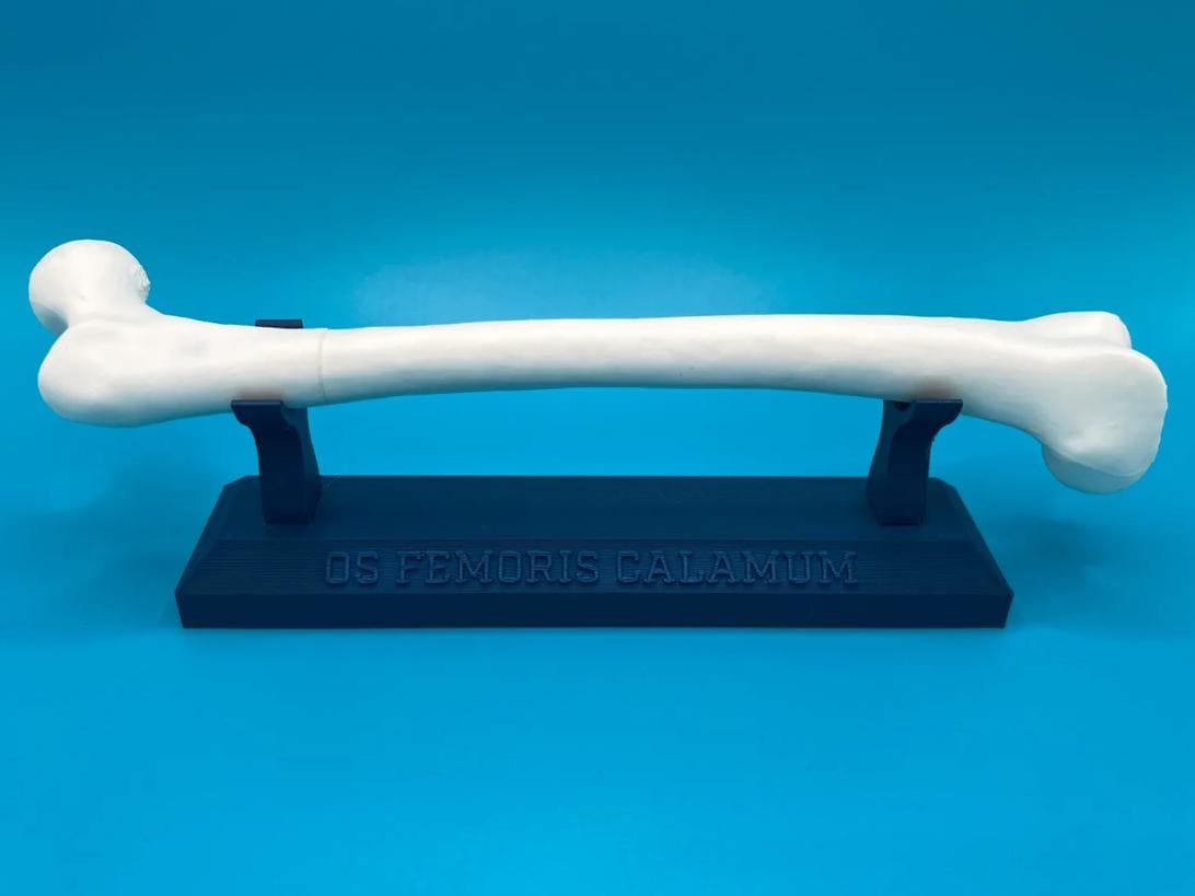 Femur Bone Pen & Optional Stand | 3D Printed Unique Anatomical Writing ...