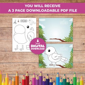 Create Your Own Fun Cut and Paste Bird!, Cut and Paste Craft Activity ...