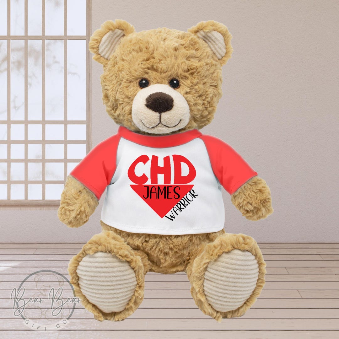 Custom CHD Warrior Teddy Bear Gift Personalized Heart Surgery Survivor ...