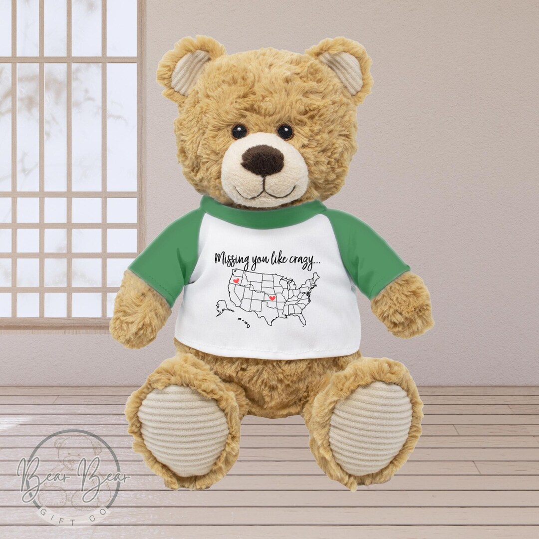 Custom Location Map Teddy Bear Gift, Long Distance Relationship Plush ...