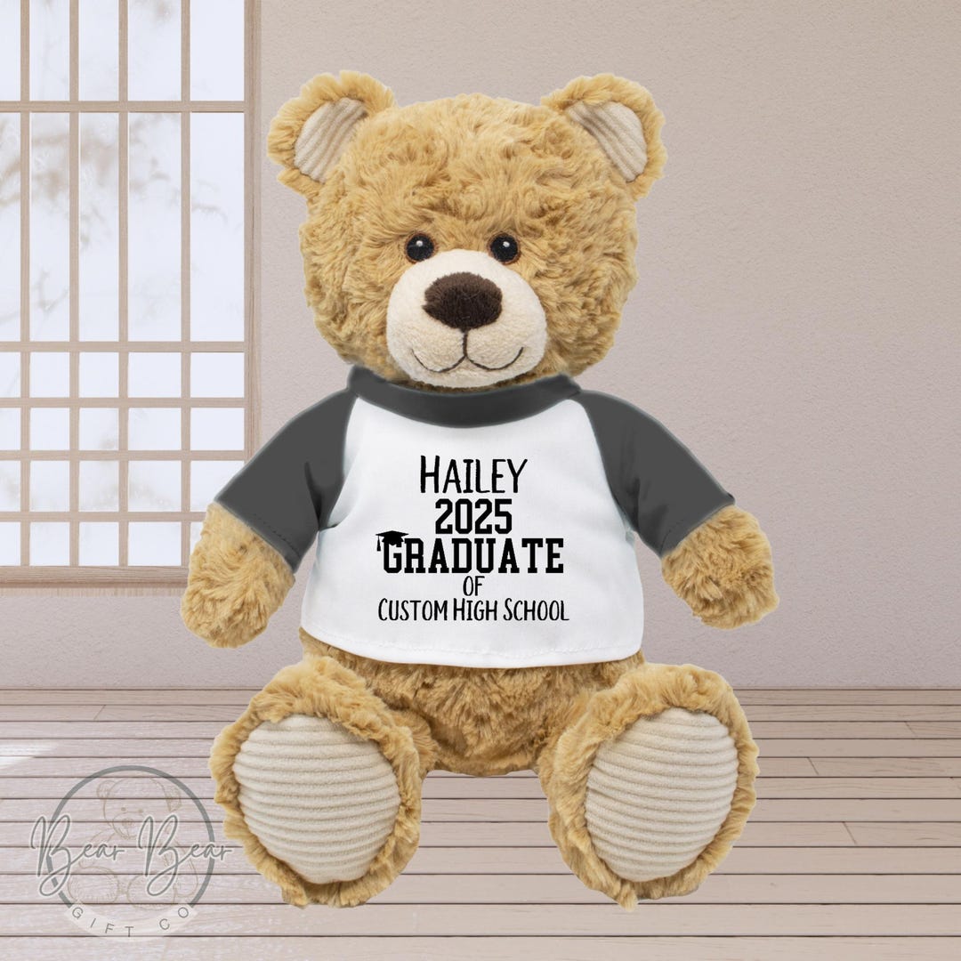 Custom 2025 Graduation Teddy Bear Gift, Personalized School Name Puppy ...