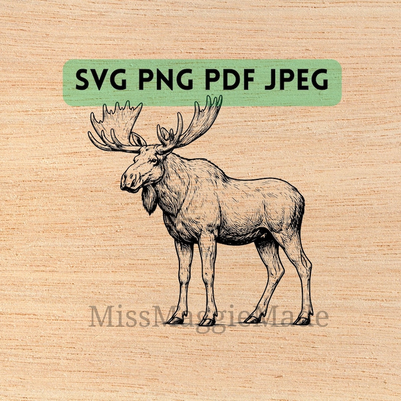 Moose Drawings - Etsy