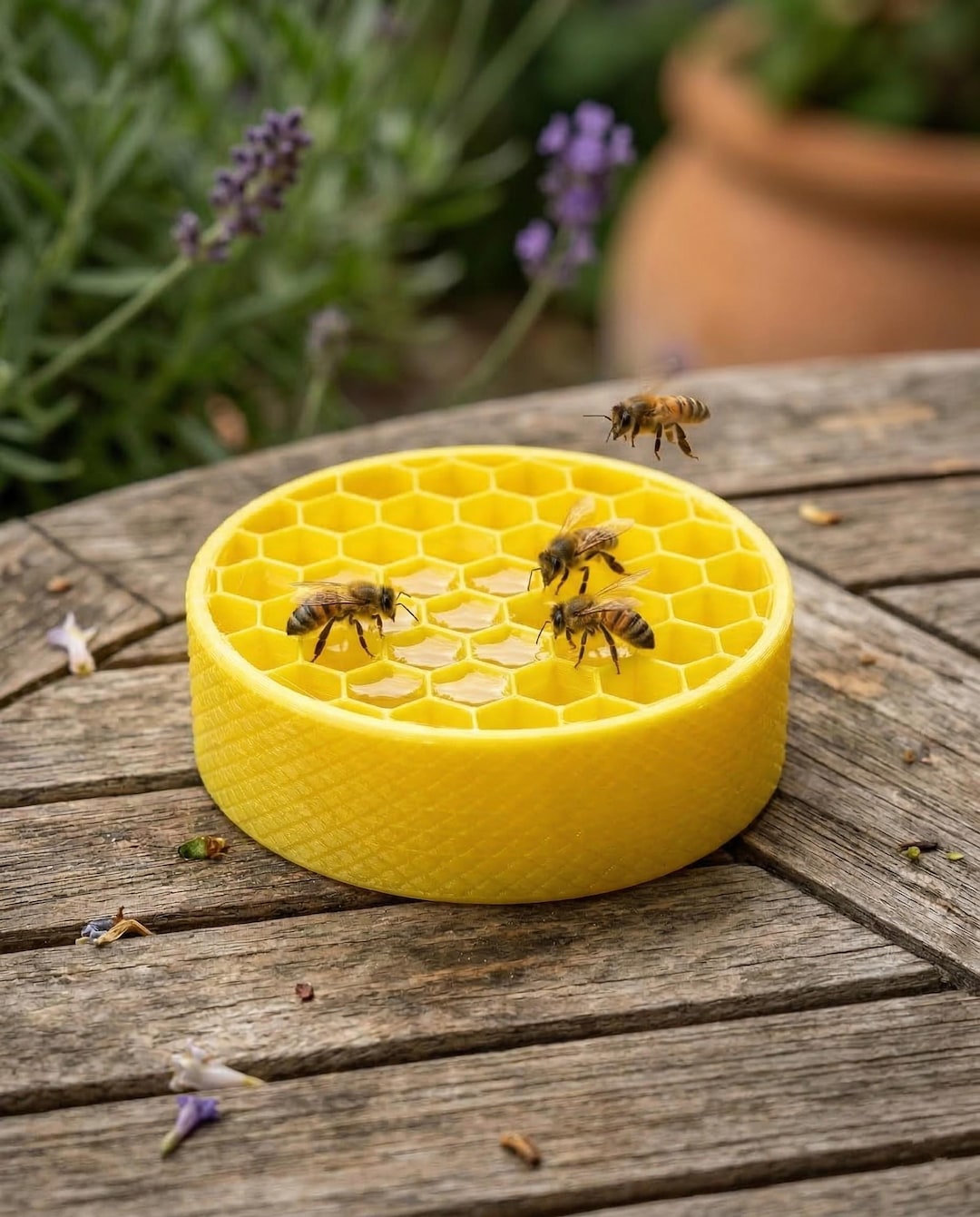 Bee Puck - Water Station and Feeder - Pollinator Insect Drinking Pad - Etsy
