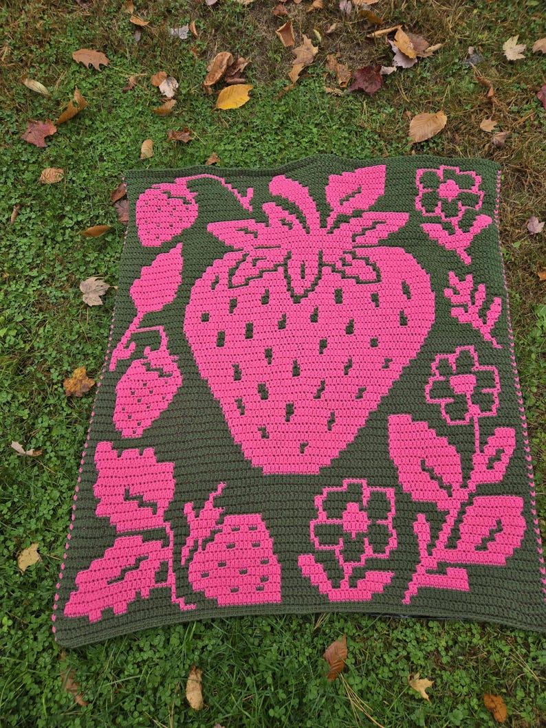 Strawberry Fields - Overlay Mosaic Baby Blanket PATTERN ONLY - Etsy