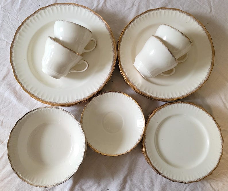 SWINNERTONS 'luxor Vellum' Dinner Set 24pcs - Etsy Australia