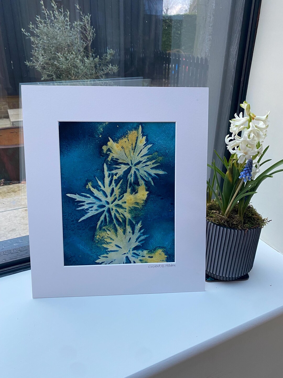 Botanical Cyanotype of Tree Leaves Made Through Solar Printing. Mounted ...