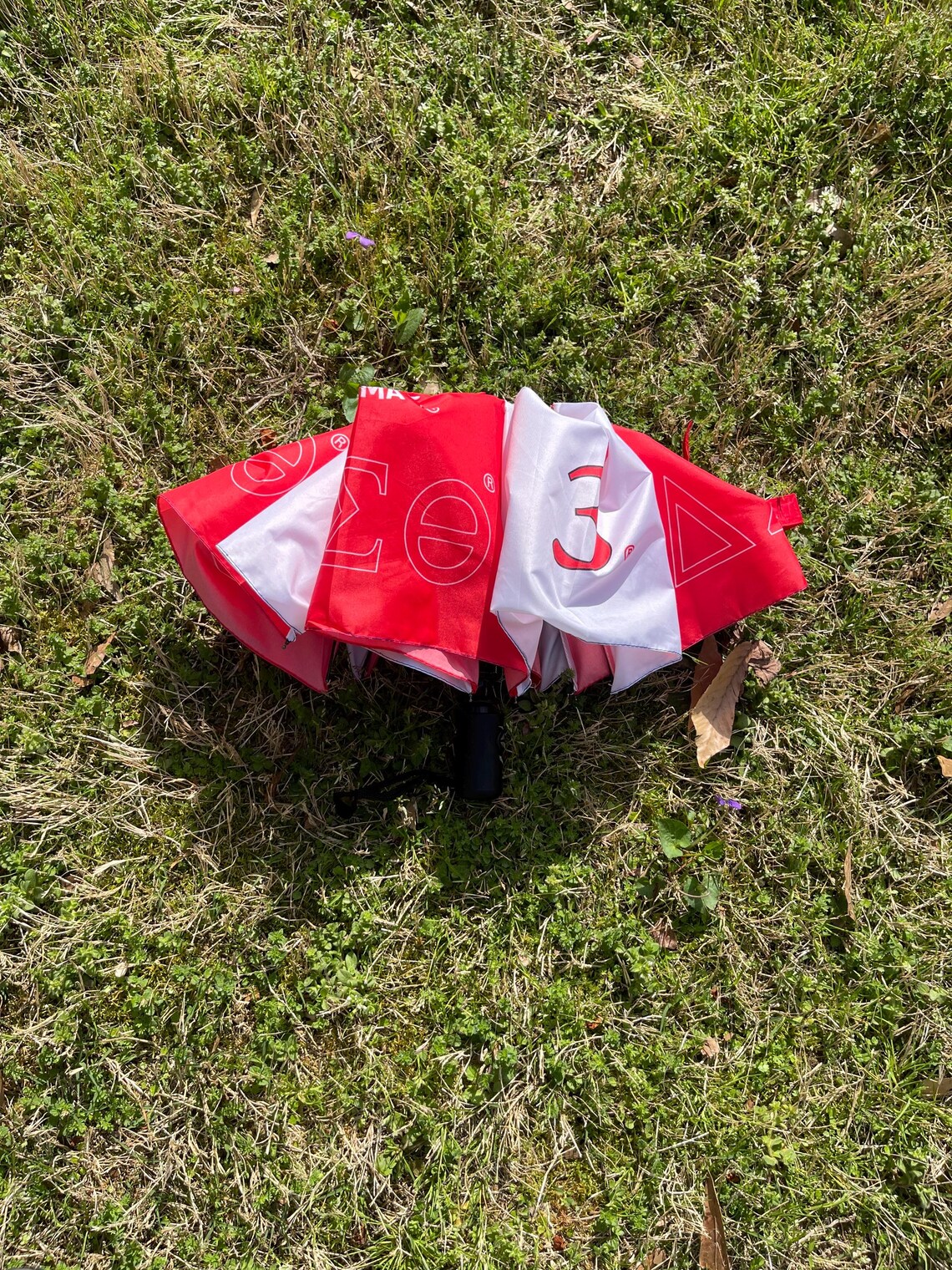 Gift for Delta Sigma Theta Umbrella DST Red and White Sorority Umbrella ...