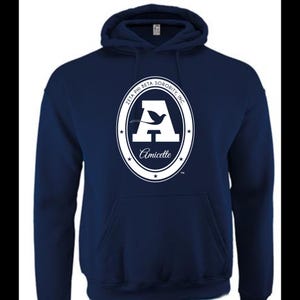 Zeta Phi Beta Amicette Tshirt Amicette Apparel Zeta Youth Group T-shirt ...