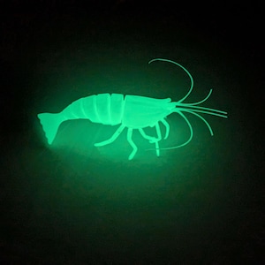 Radioactive Shrimp - Glow in the Dark Articulated Shrimp Model - Etsy