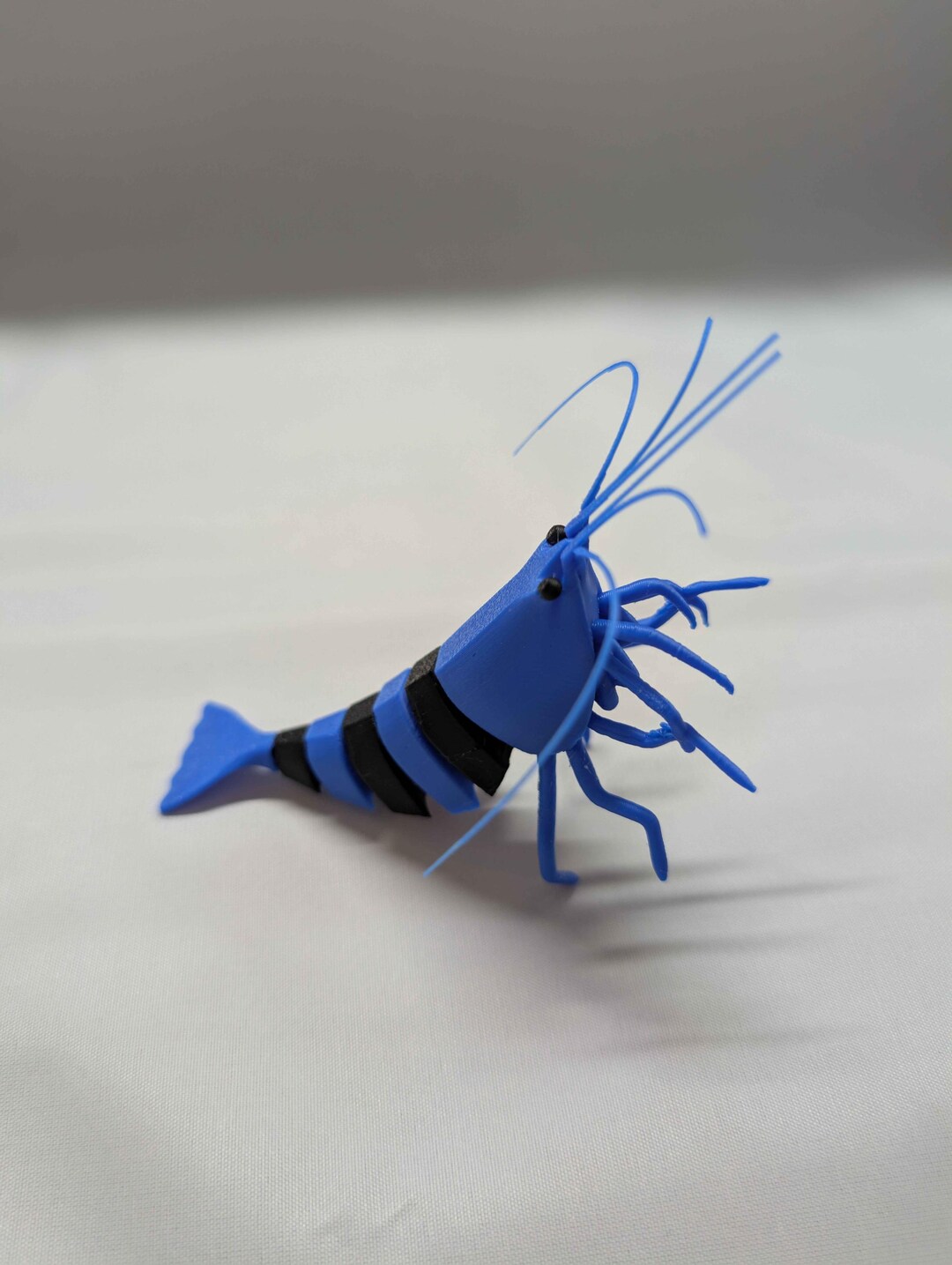 Articulated Shadow Panda Shrimp – Caridina Shrimp Model, Lifelike Decor ...