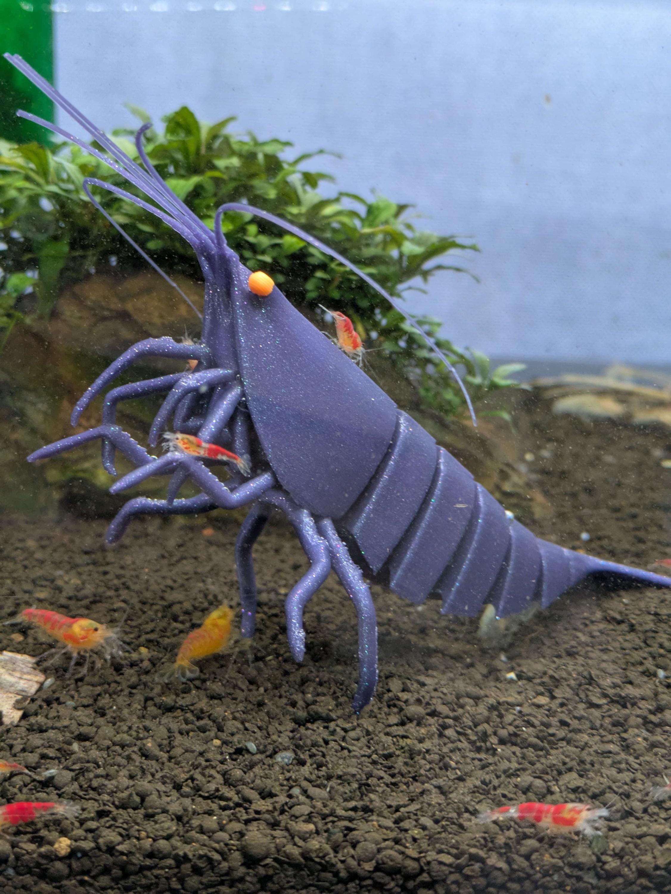 Sinking Shrimp for Aquarium Decor - Etsy