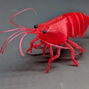 Articulated Shrimp Model - Etsy