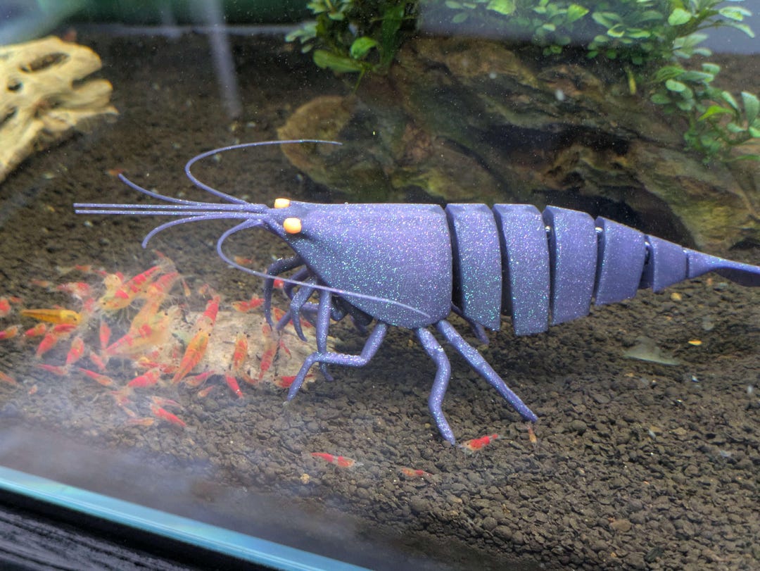 Sinking Shrimp for Aquarium Decor - Etsy
