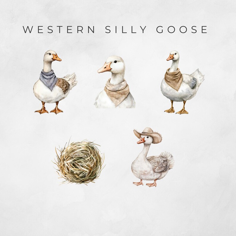 One Silly Goose Birthday Bundle Boy | Clipart | Western Theme ...