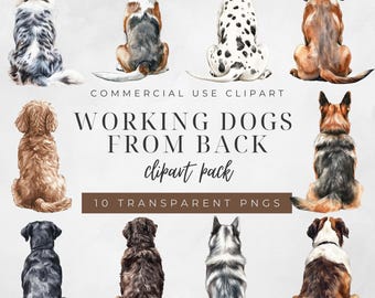 Dog Clipart From Back | Hunting Dog Breeds | for Commercial Use | 16 ...