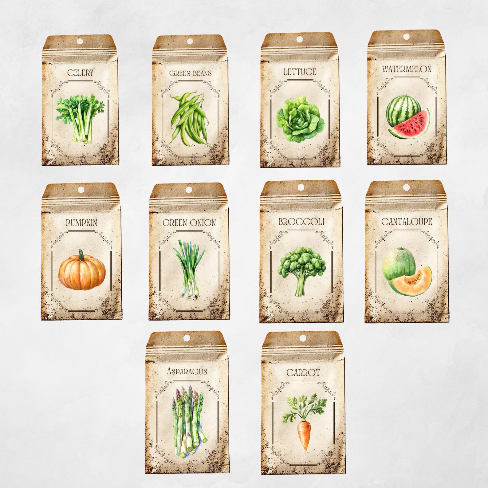Vintage Seed Packet Clipart | PNG Clipart | Gardening Clipart ...