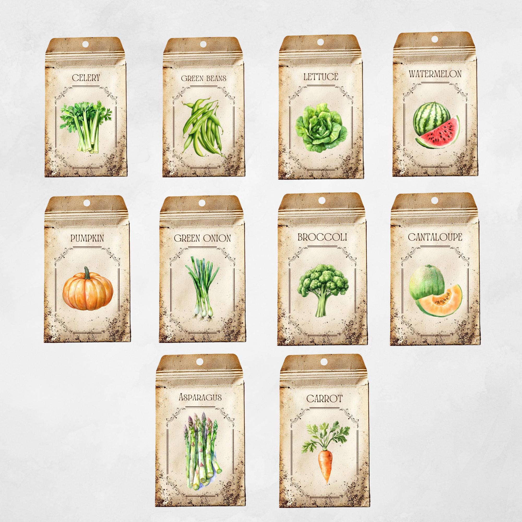 Vintage Seed Packet Clipart | PNG Clipart | Gardening Clipart ...