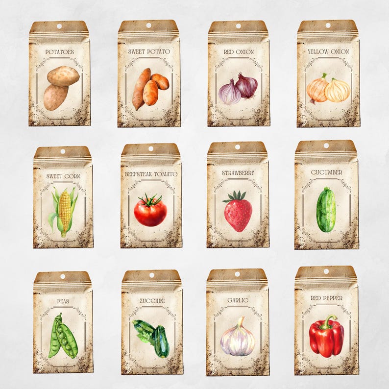 Vintage Seed Packet Clipart | PNG Clipart | Gardening Clipart ...