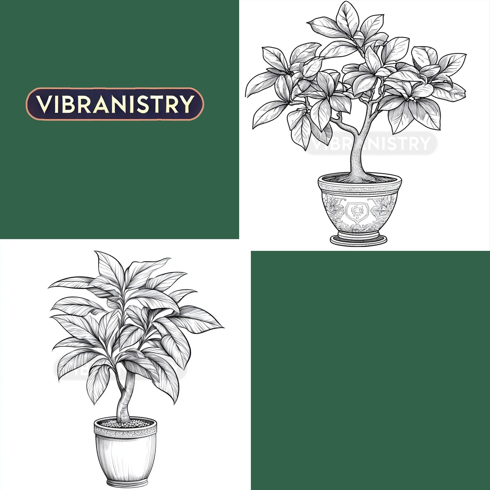 Money Tree Plant Coloring Pages - 8 Printable Designs for Plant Lovers ...
