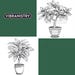 Money Tree Plant Coloring Pages - 8 Printable Designs for Plant Lovers ...