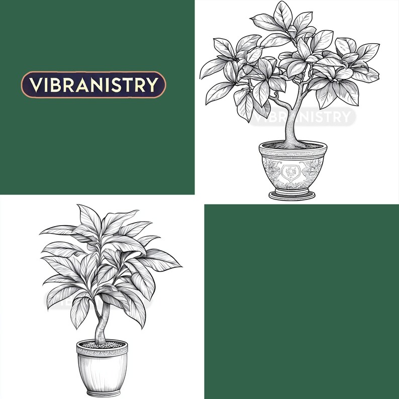 Money Tree Plant Coloring Pages - 8 Printable Designs for Plant Lovers ...
