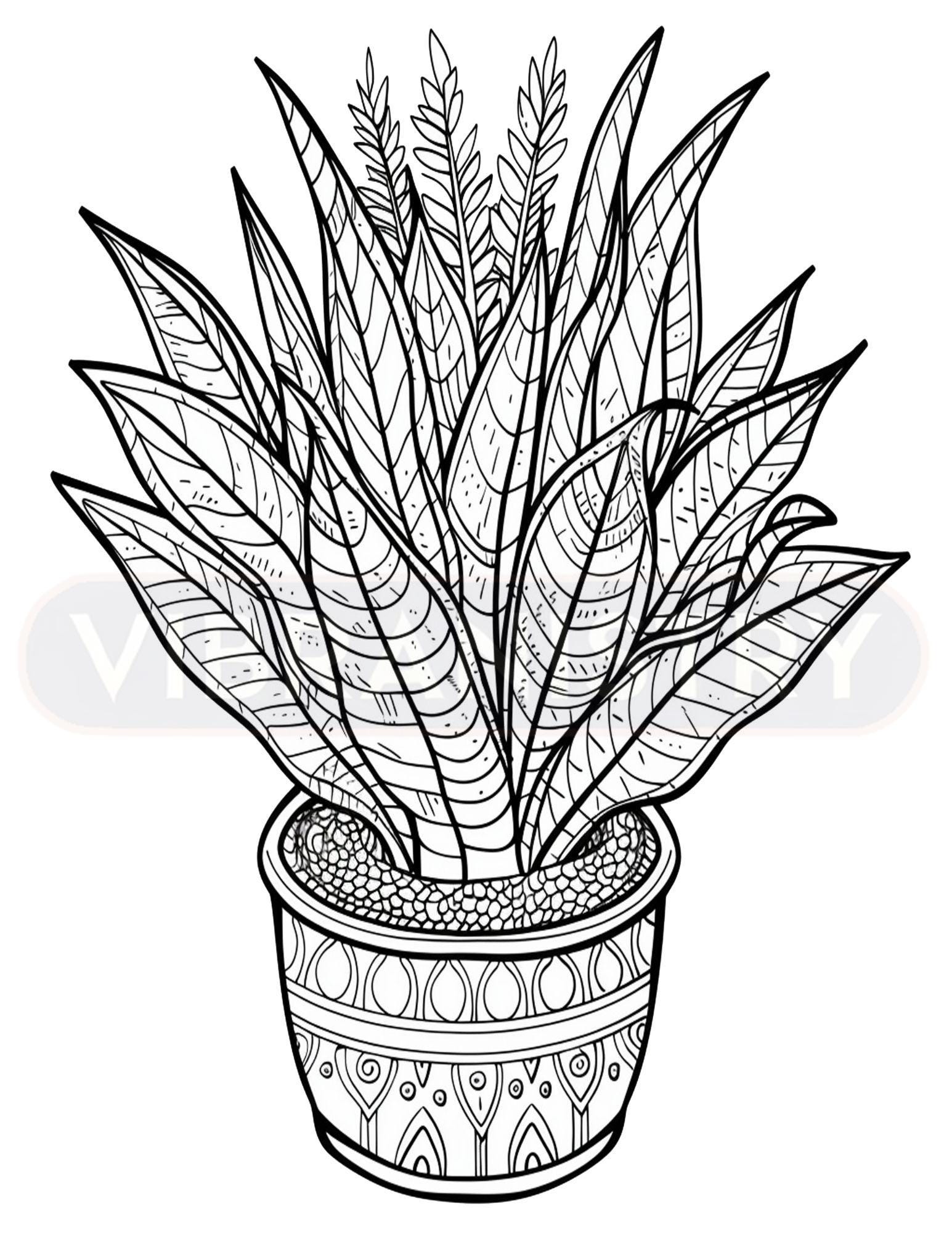 Plant in Containers Coloring Pages for Adults Digital Download PDF - Etsy