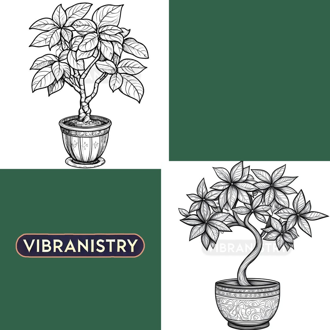 Money Tree Plant Coloring Pages - 8 Printable Designs for Plant Lovers ...