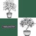Money Tree Plant Coloring Pages - 8 Printable Designs for Plant Lovers ...