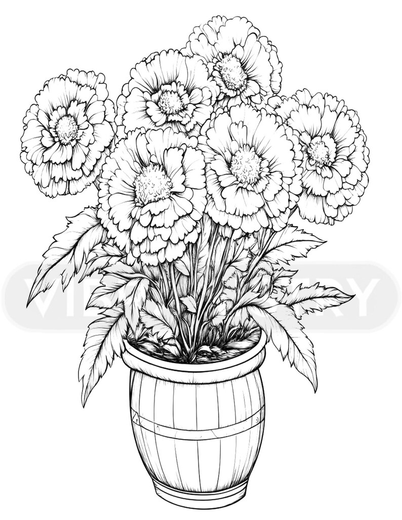 Plant in Containers Coloring Pages for Adults Digital Download PDF - Etsy