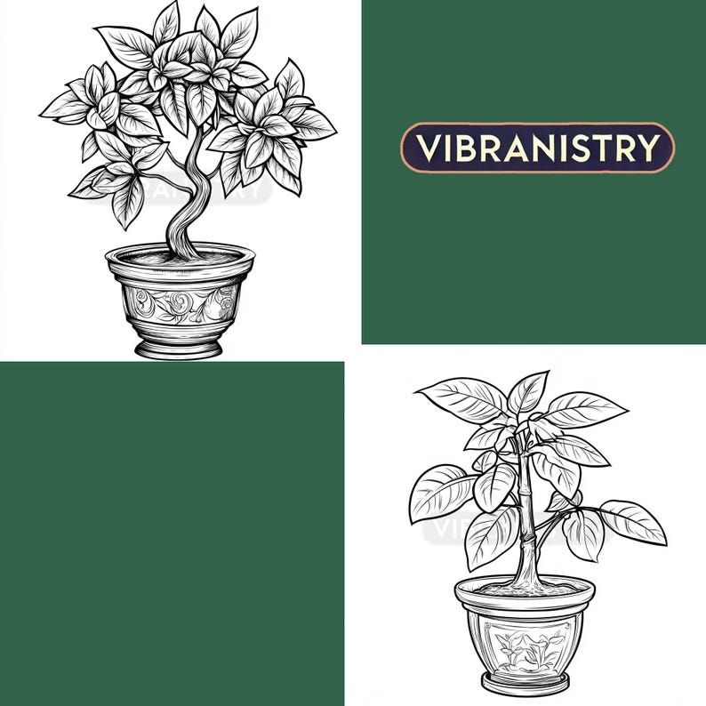 Money Tree Plant Coloring Pages - 8 Printable Designs for Plant Lovers ...
