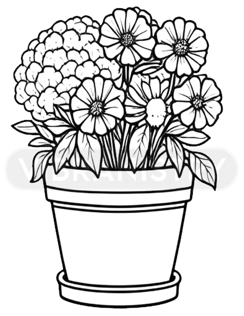 Plant in Containers Coloring Pages for Adults Digital Download PDF - Etsy