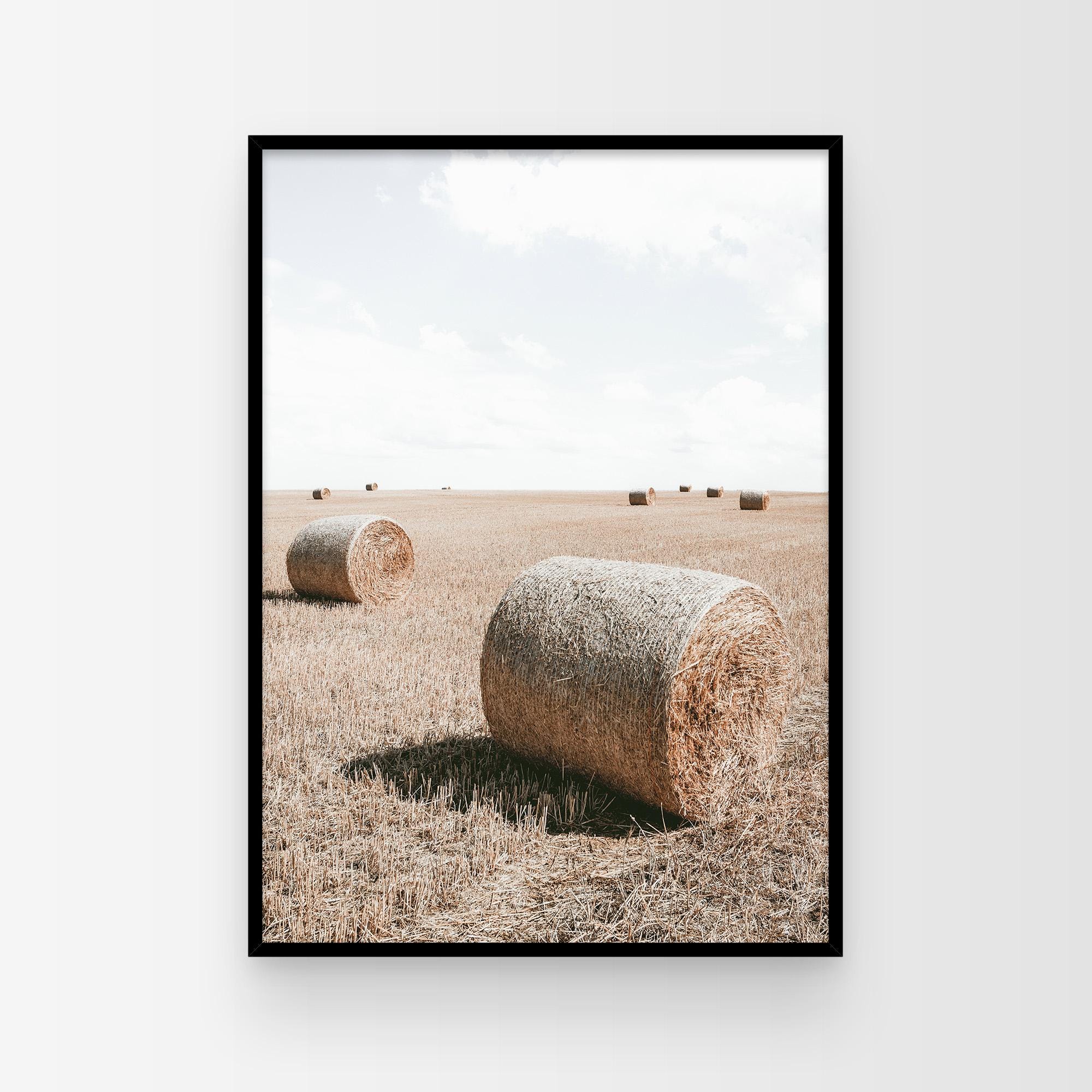 Set of 3 Farmhouse Prints, Highland Cow Cattle Print, Neutral Poster ...