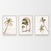 Set of 3 Palm Tree Prints, Beige Palm Tree Digital Print, Coastal Print ...