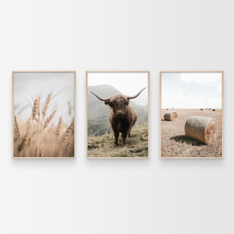 Set of 3 Farmhouse Prints, Highland Cow Cattle Print, Neutral Poster ...