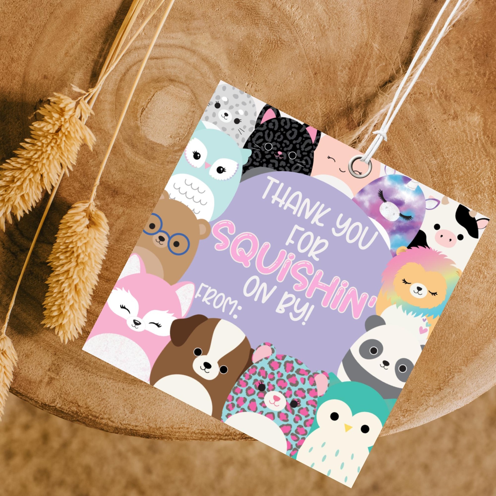 Squishmallow Birthday Gift Tags: Printable Party Favors (PDF) - Etsy