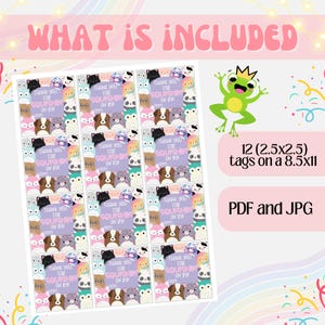 Squishmallow Birthday Gift Tags: Printable Party Favors (PDF) - Etsy