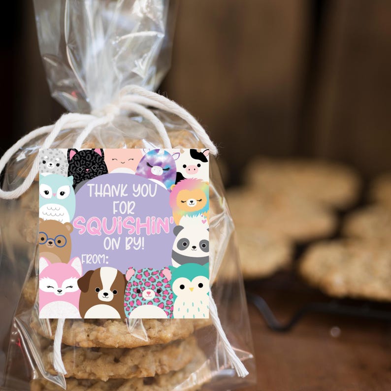 Squishmallow Birthday Gift Tags: Printable Party Favors (PDF) - Etsy