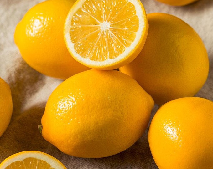 3 Lbs Organic Meyer Lemons – SEASONAL SALE / Last Batch - Bursting With ...