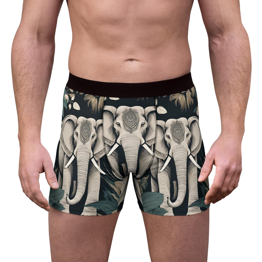 Men's Boxer Briefs, Thai Elephant Print Underwear, Unique Men's Boxers ...