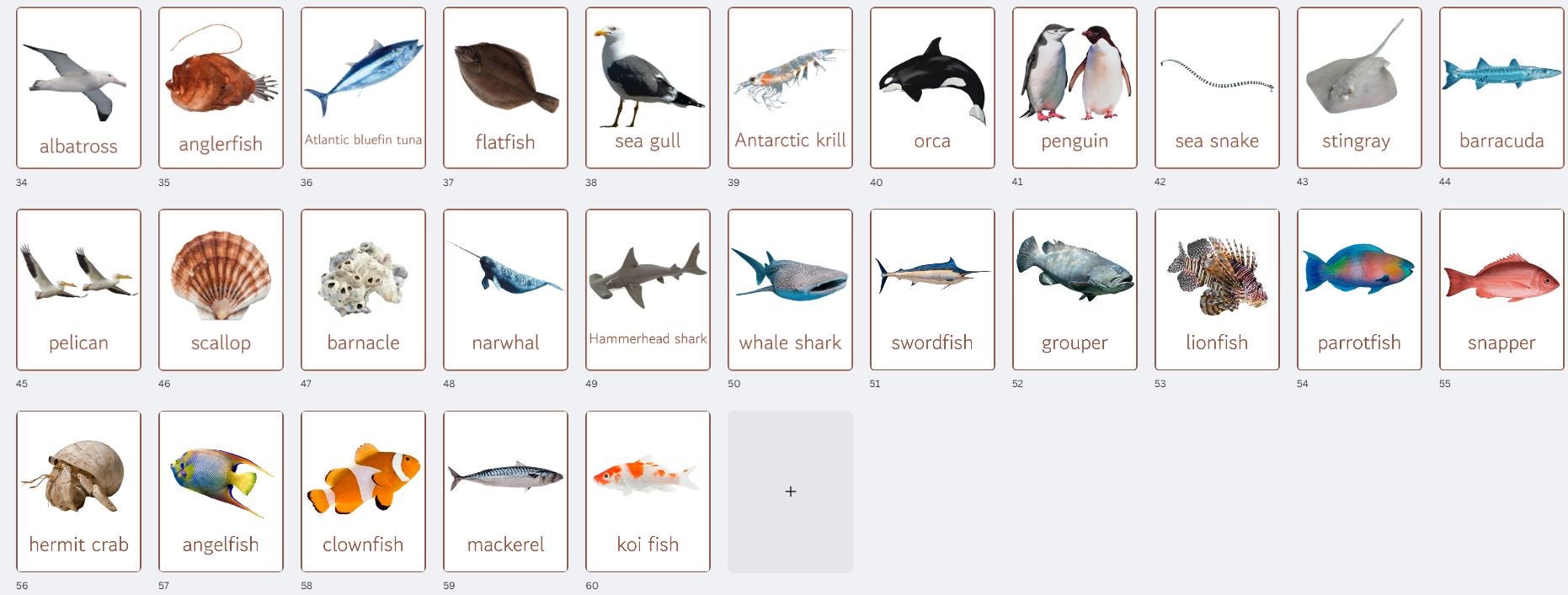 60 Printable OCEAN ANIMALS Flashcard W/ Real Pictures | Marine Mammals ...