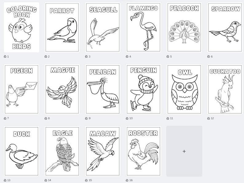 Bird Flashcards: 40 Species, Montessori Learning (digital Download) - Etsy