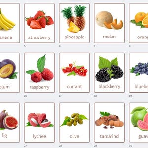Fruits & Vegetables Flashcards: Montessori Homeschool Printable (PDF ...