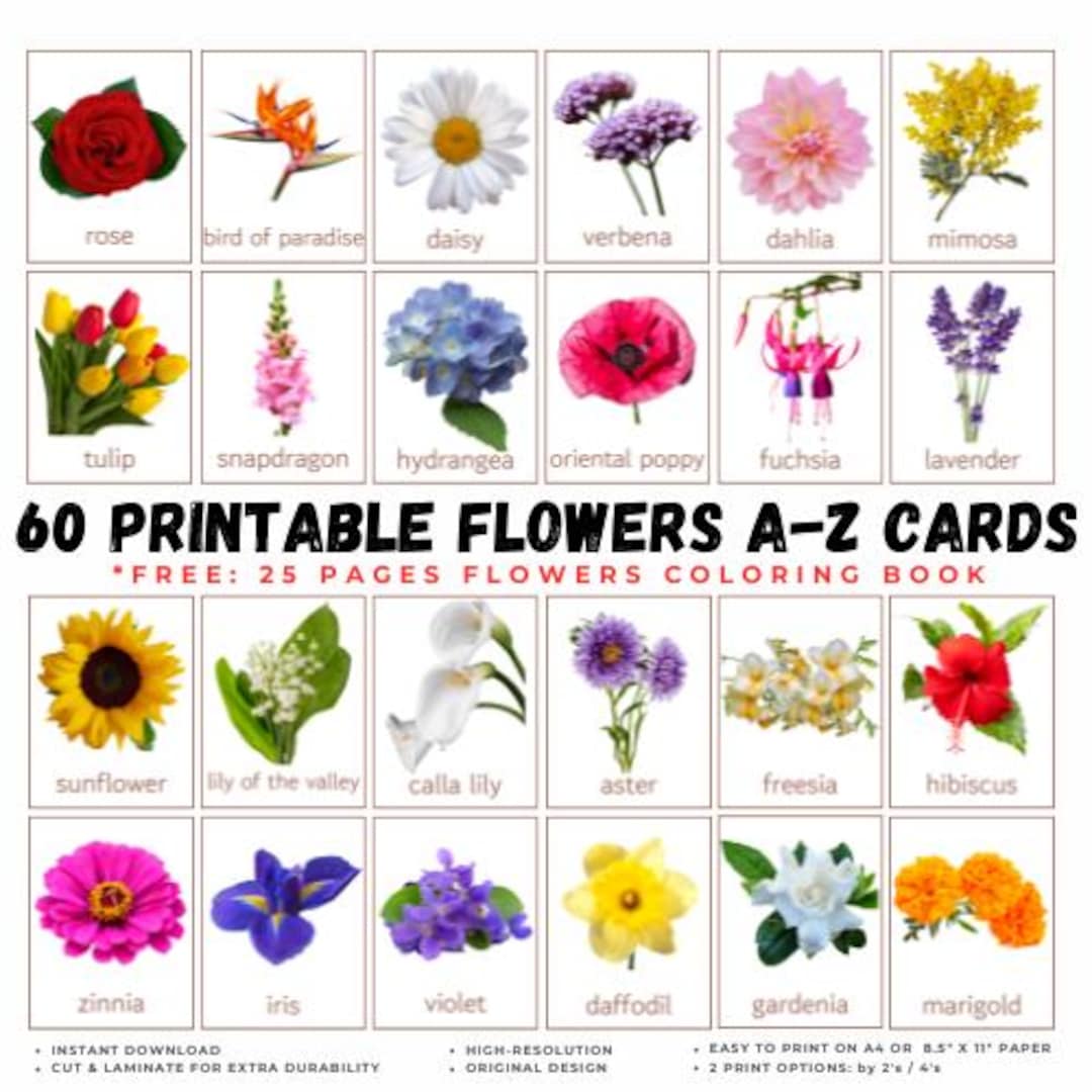 Flower Flashcards: A-Z Printable Montessori Cards (PDF) - Etsy