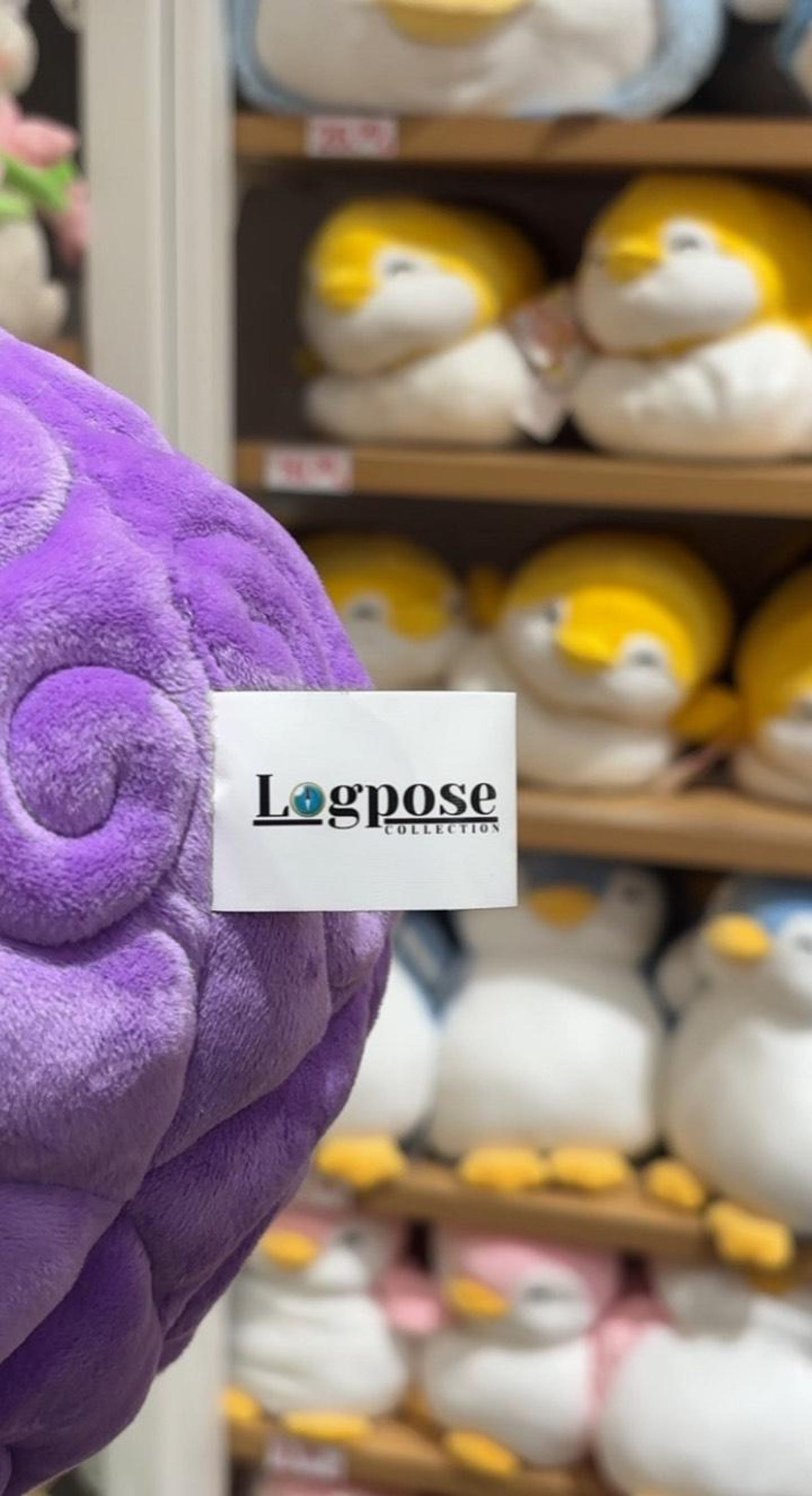 Flame Flame Fruit One Piece Anime Plush, Mera Mera No Mi Devil Fruit ...