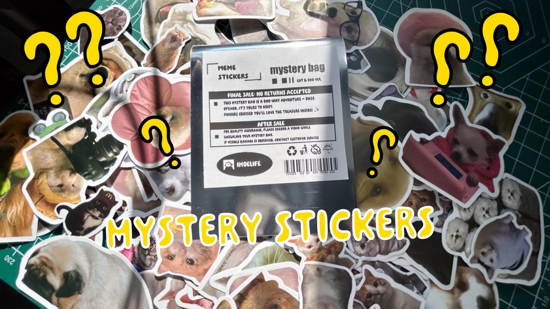 Mystery Meme Sticker Pack: 10 Unique Paper Stickers - Etsy