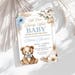 Teddy Bear Baby Shower Invitation: Editable Canva Template - Etsy