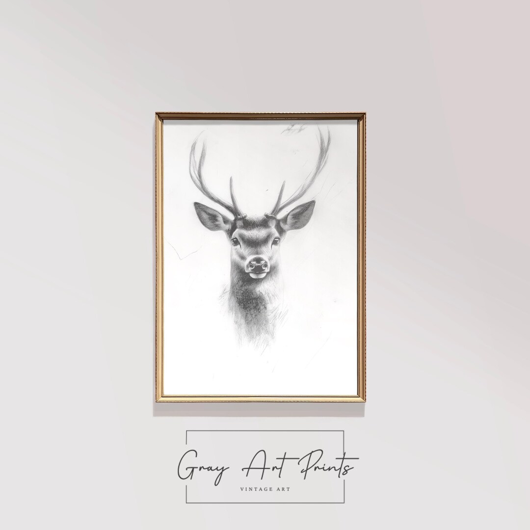 Deer Head Pencil Drawing – Rustic Wildlife Art Print (digital Download ...